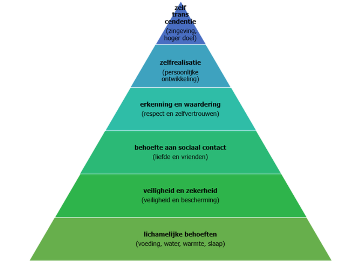 Zelftranscendentie als pad voor positief ouder worden - Geron